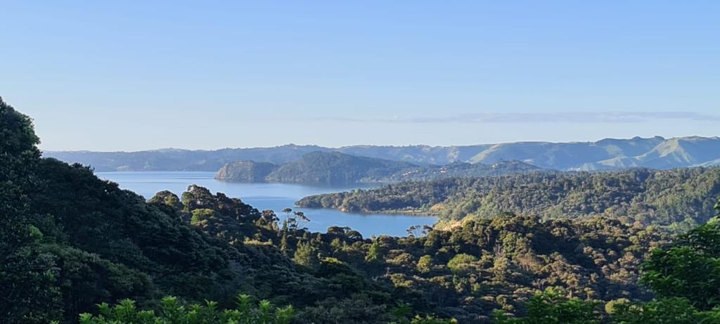 Coming Soon - Victory Road, Laingholm | ProAgent Real Estate